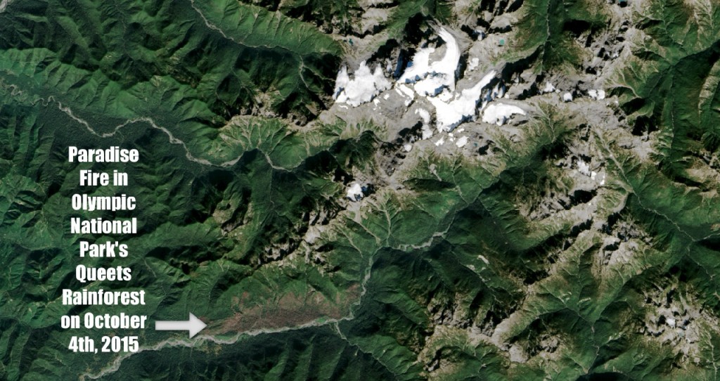 As Seen from Space: The 2015 Paradise Fire in Olympic National Park ...